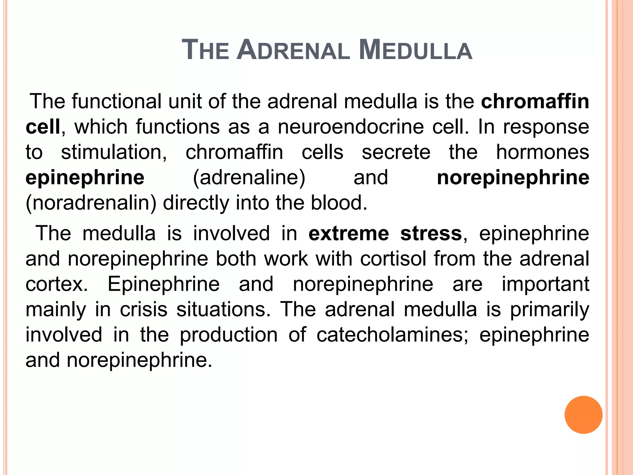 Adrenals chemistry and biosynthesis of adrenal medullary and adrenal ...