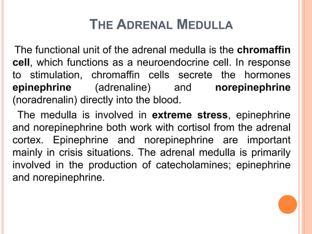 Adrenals chemistry and biosynthesis of adrenal medullary and adrenal ...