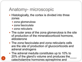 Adrenal tumors | PPTX