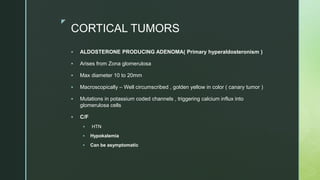 adrenal tumors ppt.pptx presentation.... | PPT