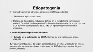 Adrenarquia prematura/pubertad precoz final | PPTX