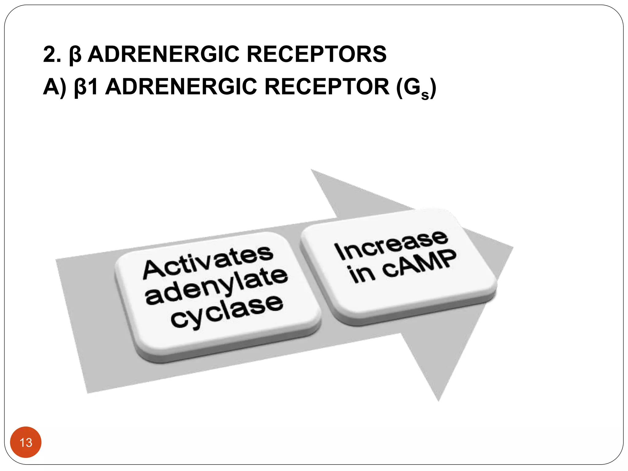 Adrenergic receptors | PPTX