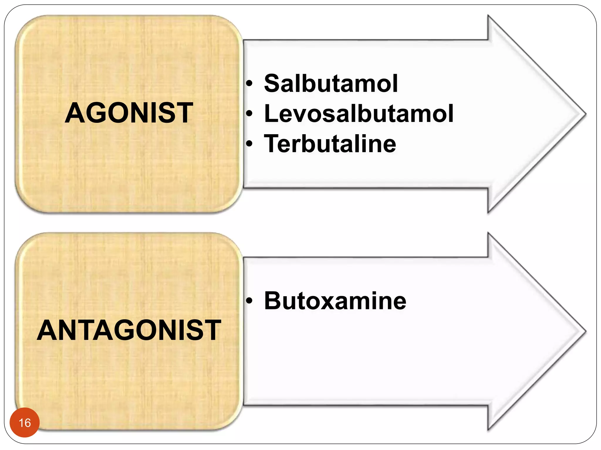 Adrenergic receptors | PPTX