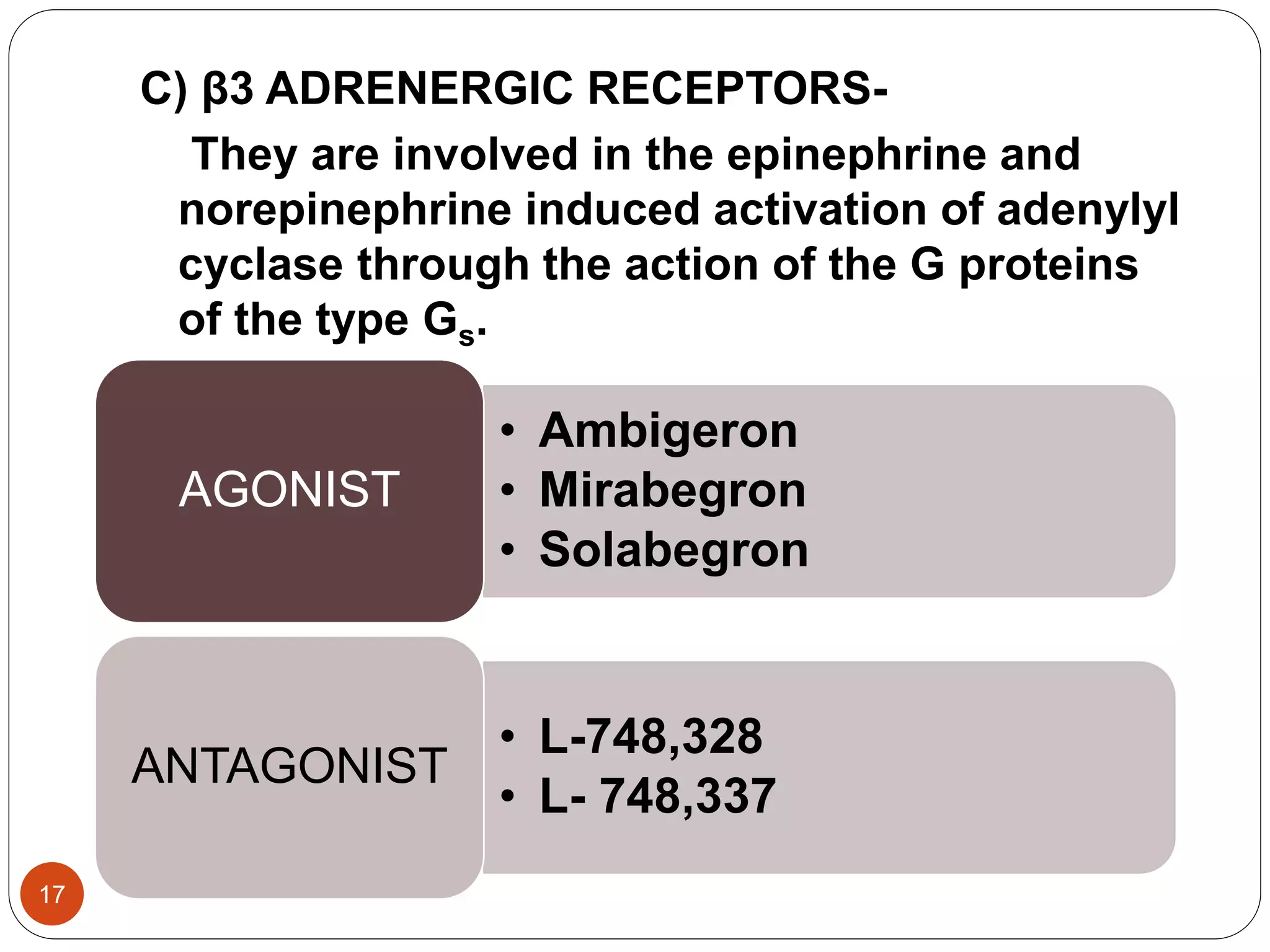 Adrenergic receptors | PPTX