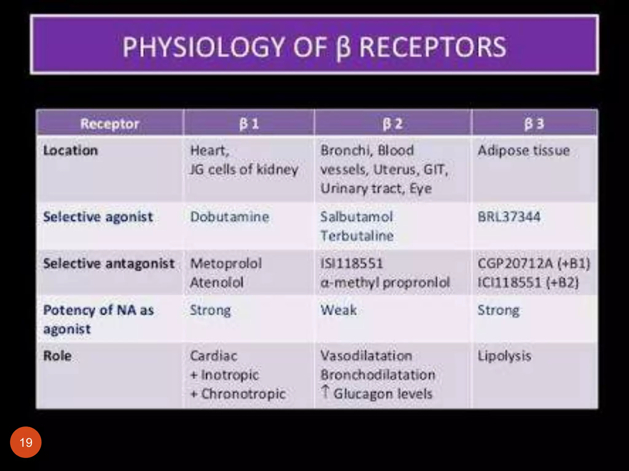 Adrenergic receptors | PPTX