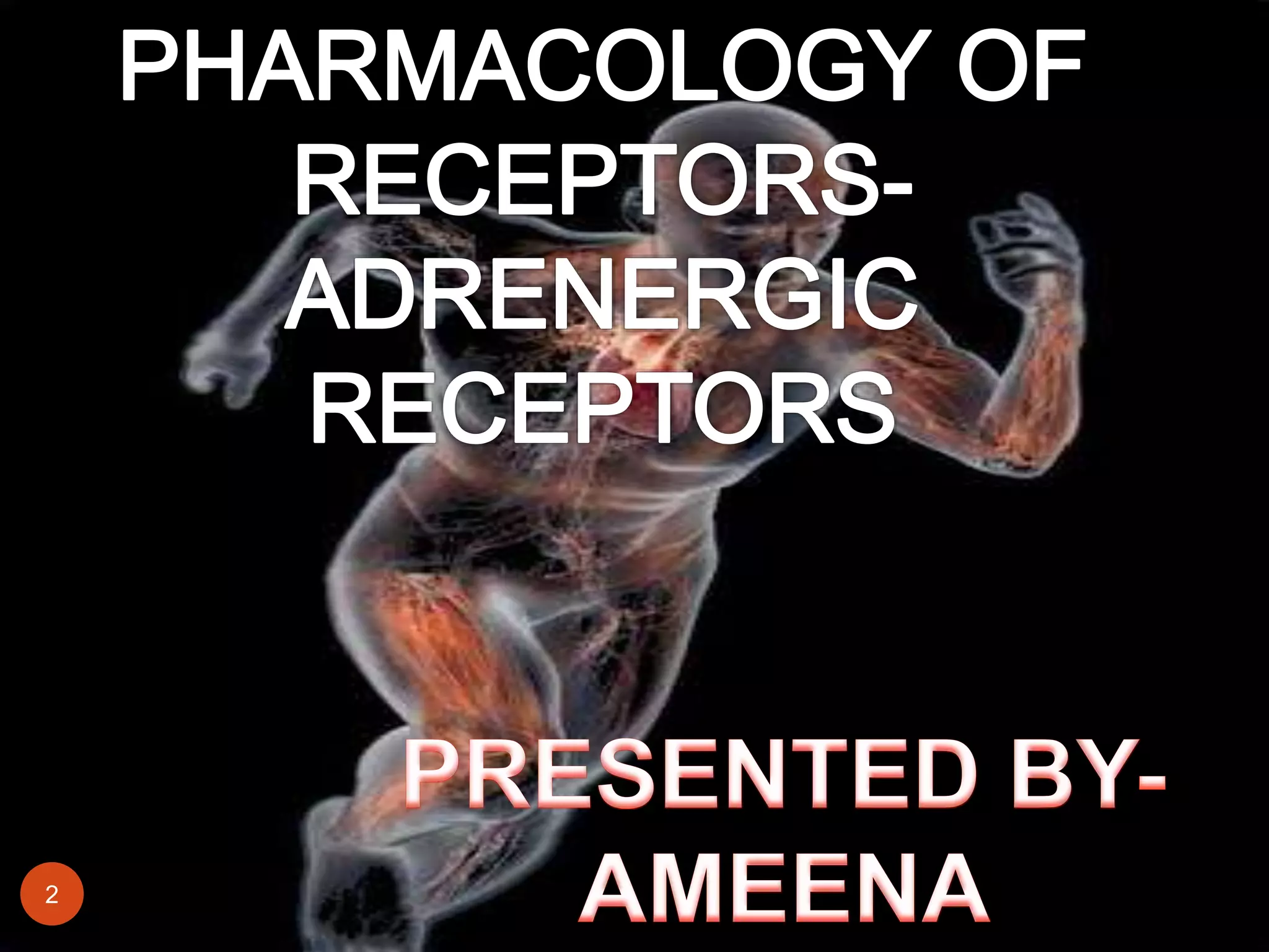 Adrenergic receptors | PPTX
