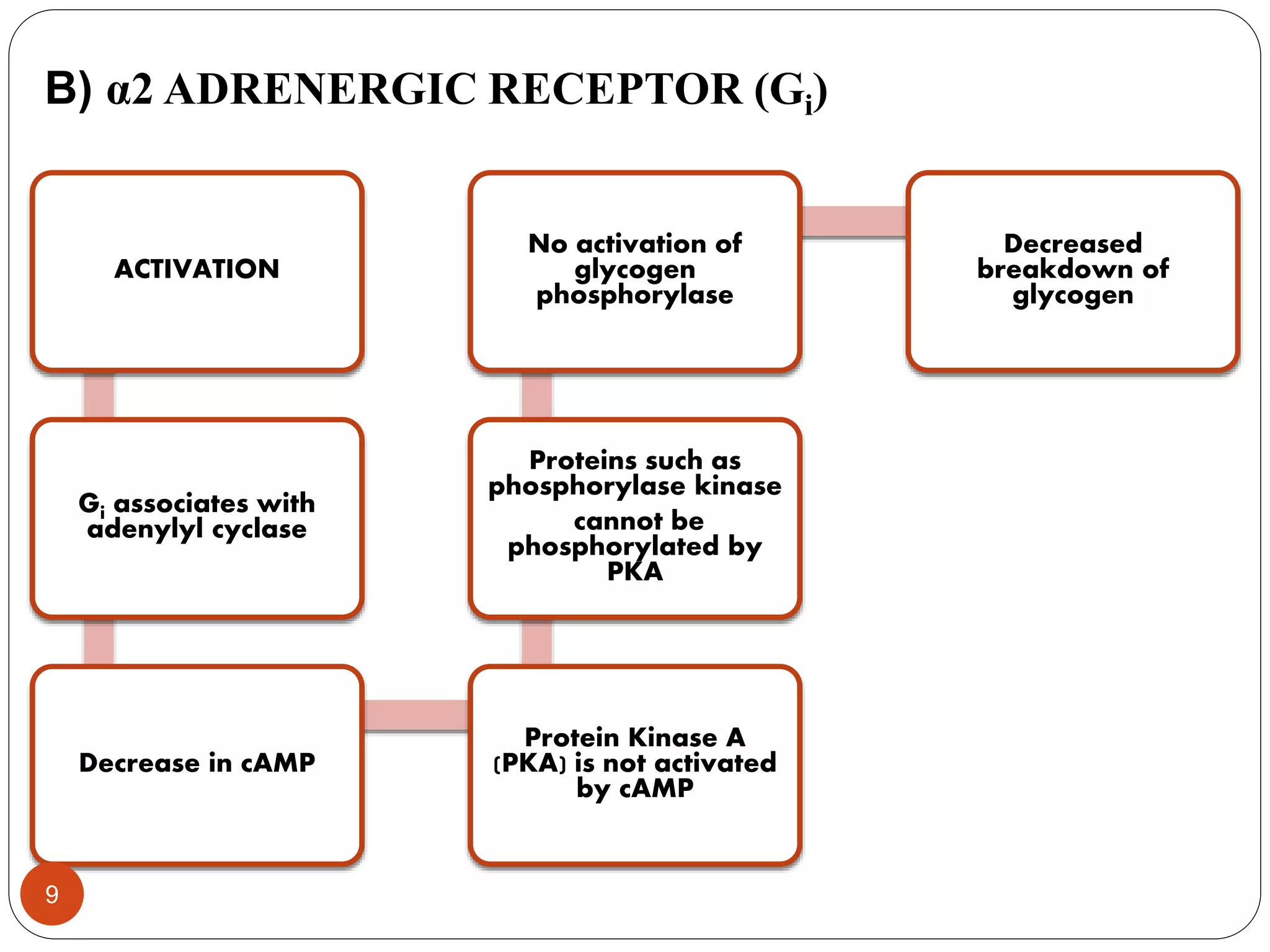 Adrenergic receptors | PPTX