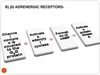 Adrenergic receptors | PPTX