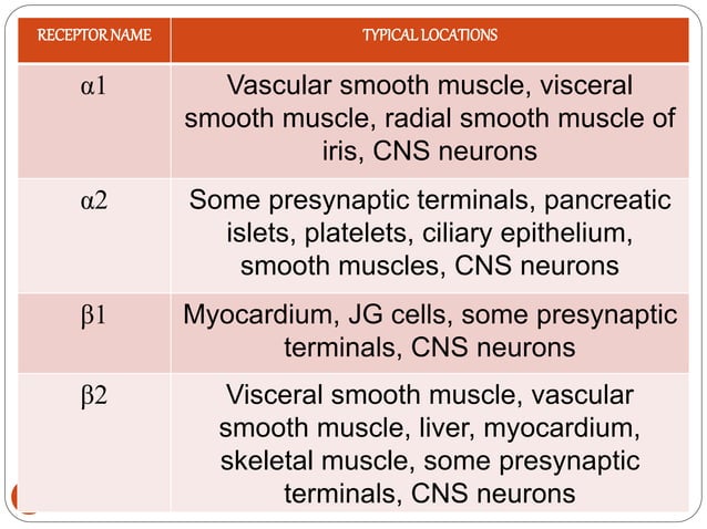 Adrenergic receptors | PPT
