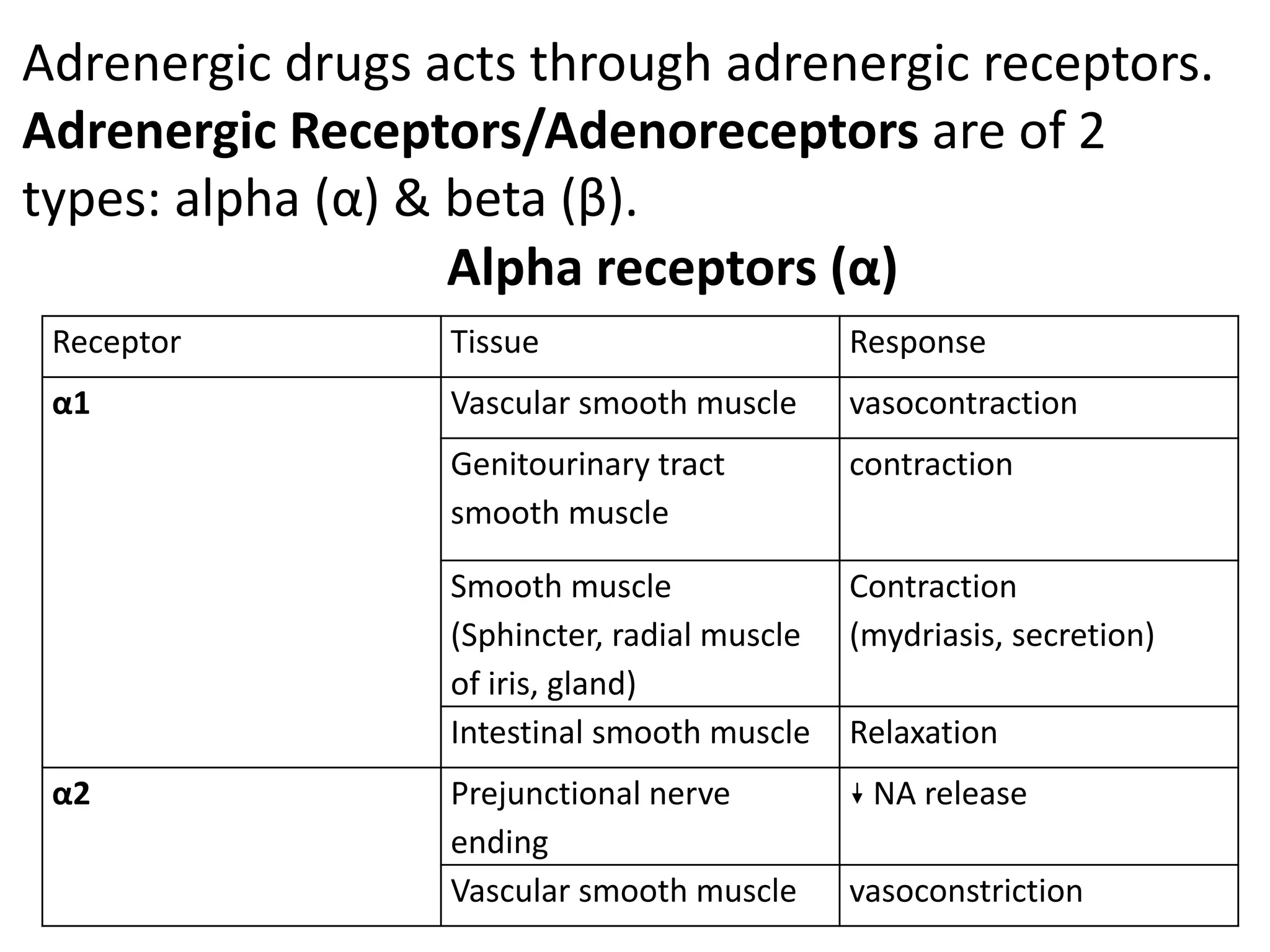 Adrenergic system and drugs | PPTX