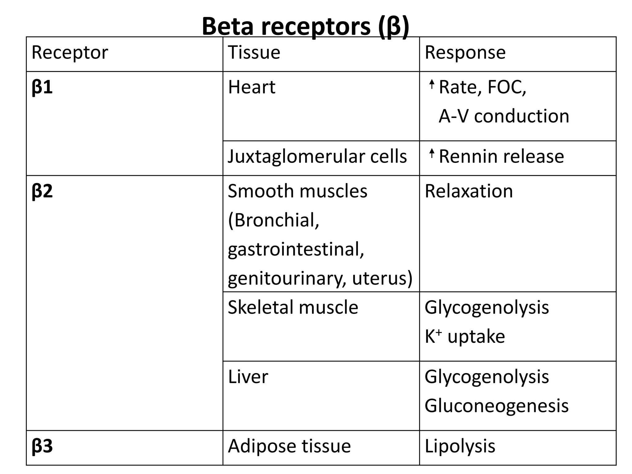 Adrenergic system and drugs | PPTX