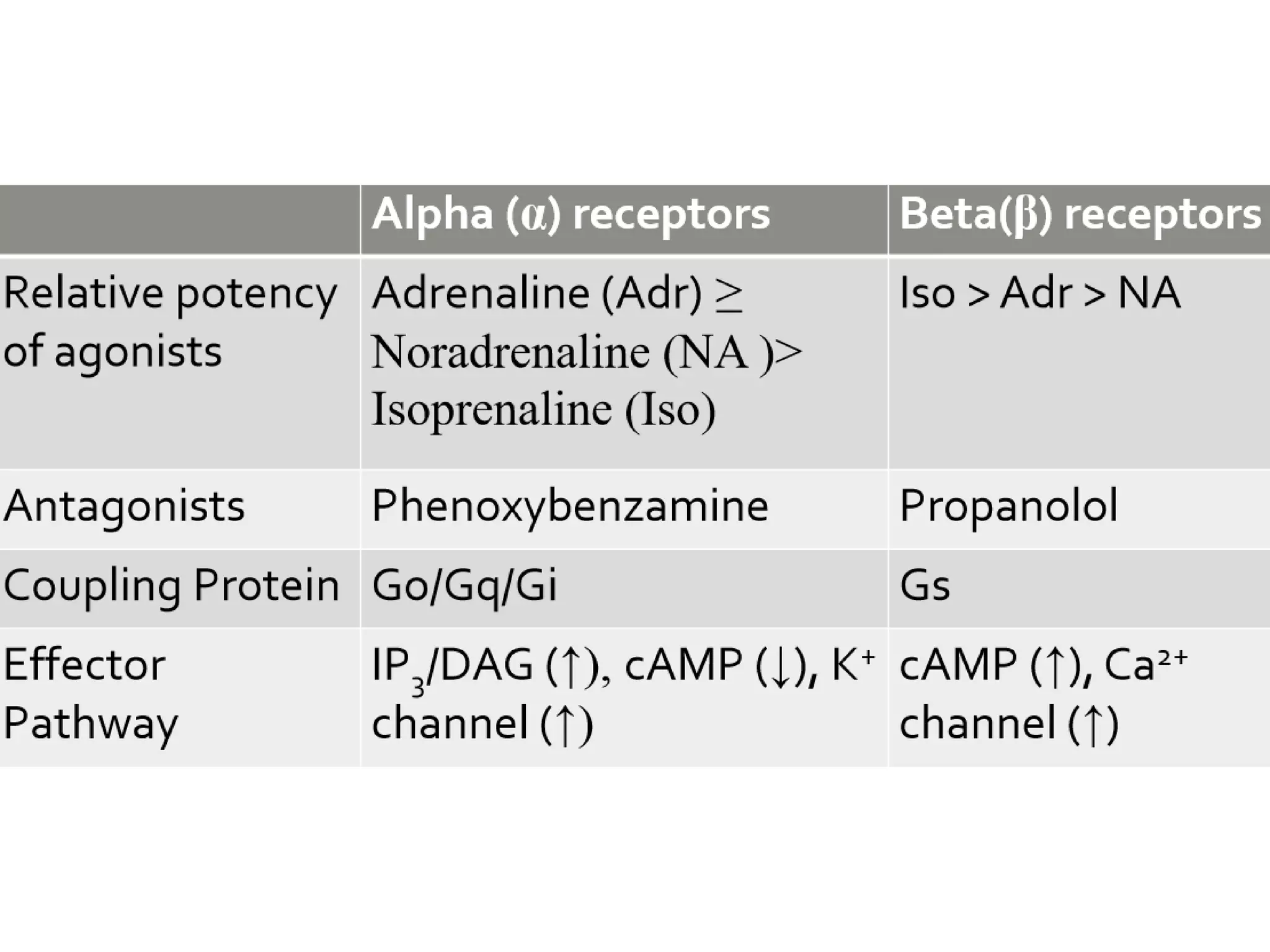 Adrenergic system and drugs | PPTX