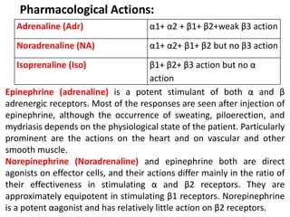 Adrenergic system and drugs | PPTX