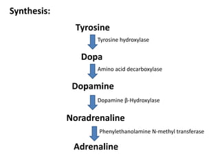 Adrenergic system and drugs | PPTX