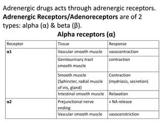 Adrenergic system and drugs | PPTX