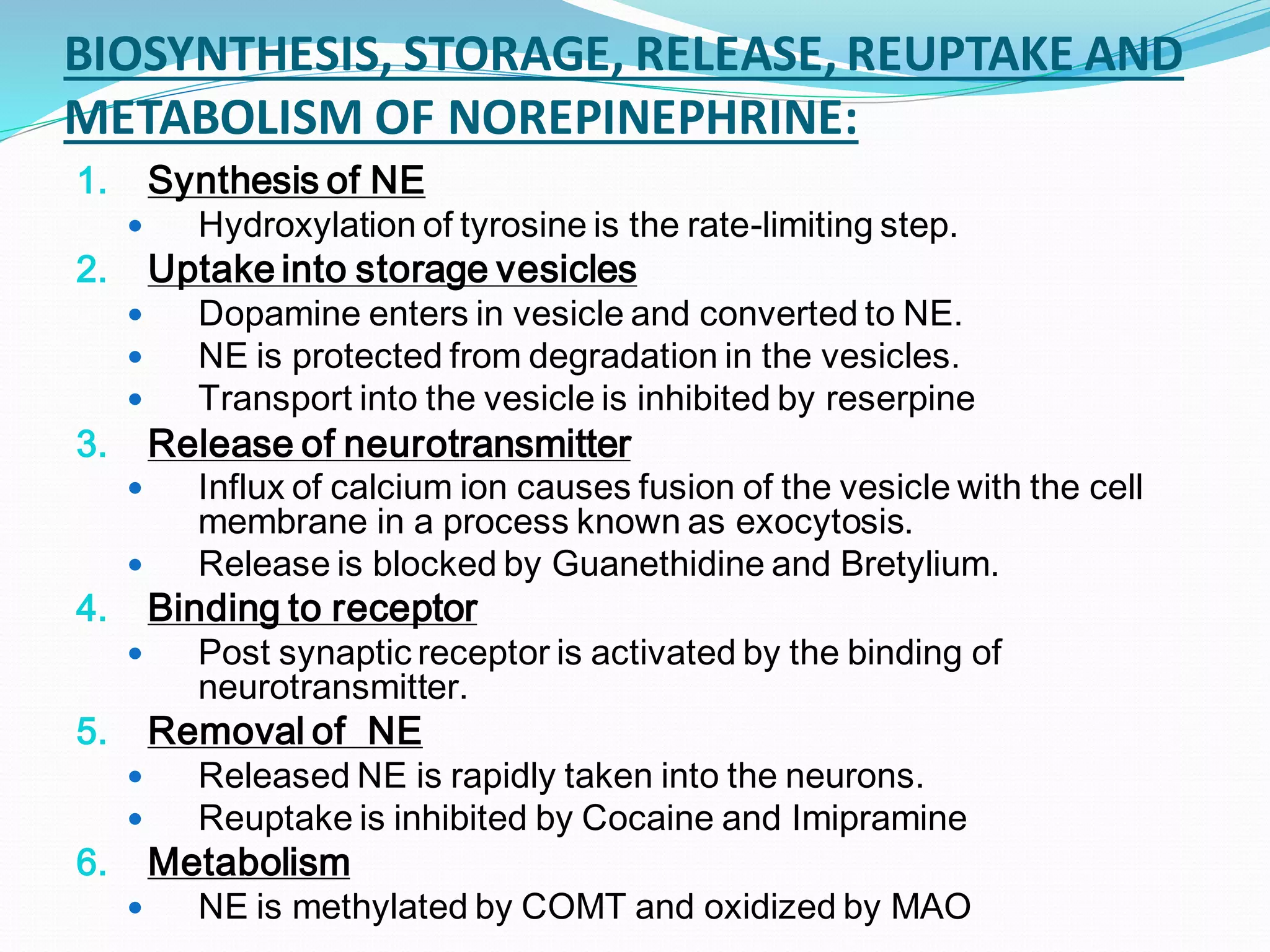 Adrenergic agents M. Pharm. | PDF
