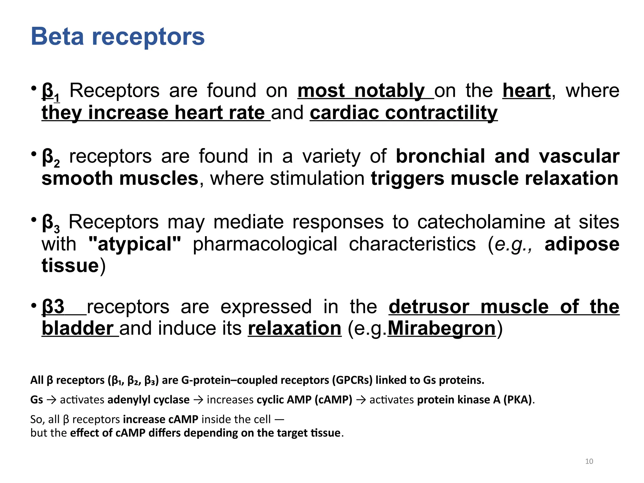 Adrenergic agonist.. adrenoceptor and sy | PPTX