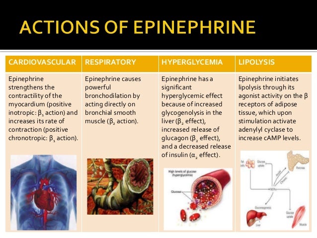 Adrenergic agonists