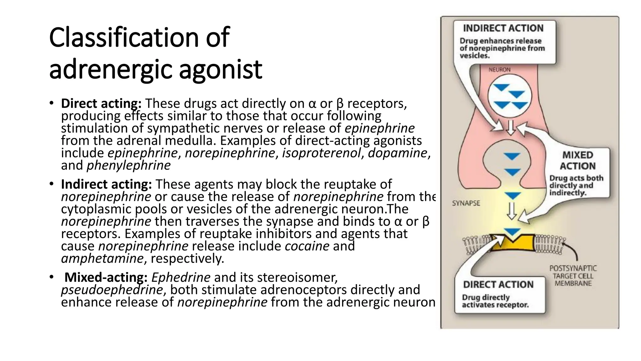 adrenergic agonists for all medical students | PDF