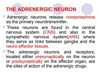 Autonomic nervous system Adrenergic Agonists | PPT