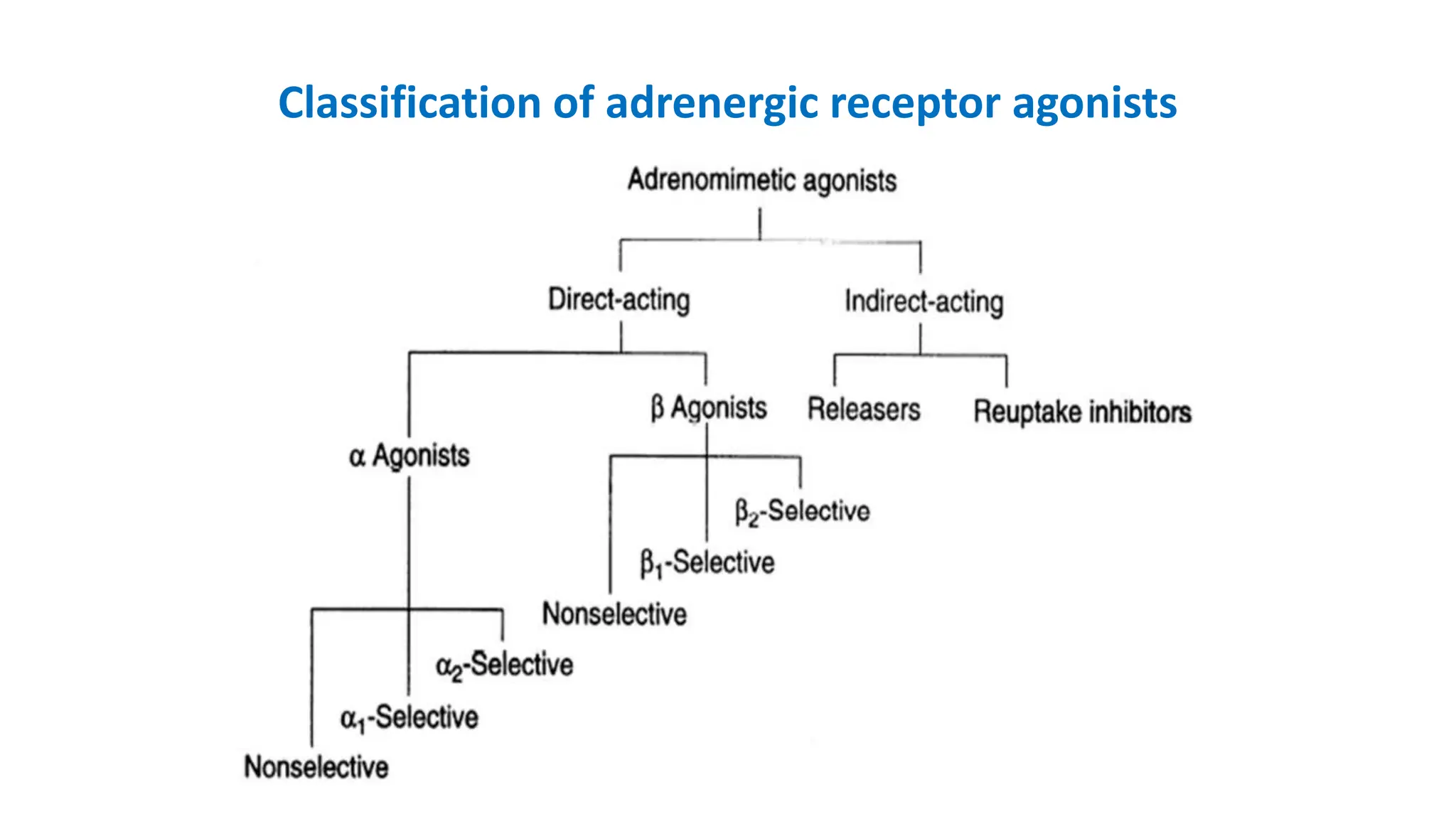 Adrenergic Agonists and Antagonists.pptx