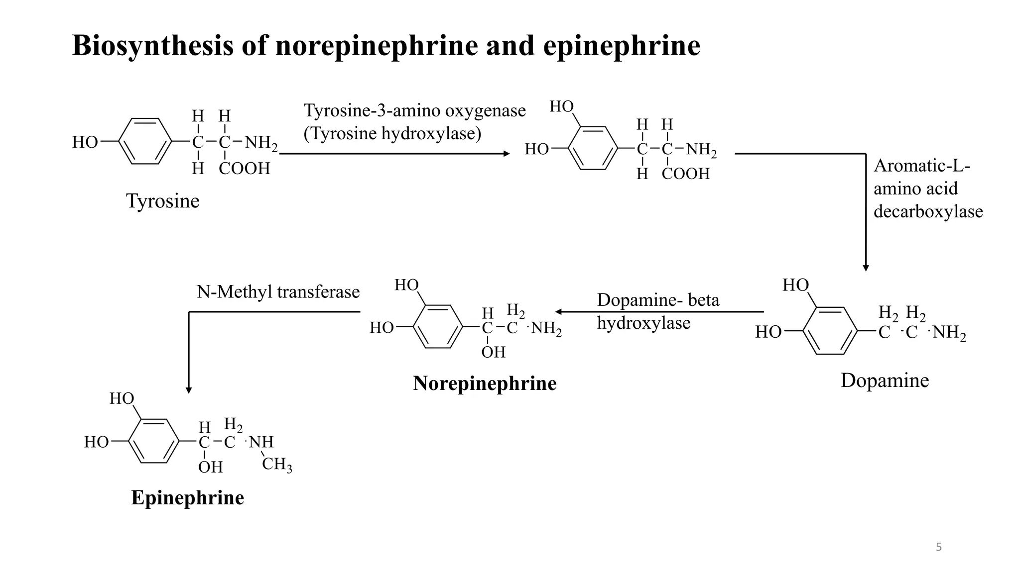 Adrenergic and anti-adrenergic agents | PPTX