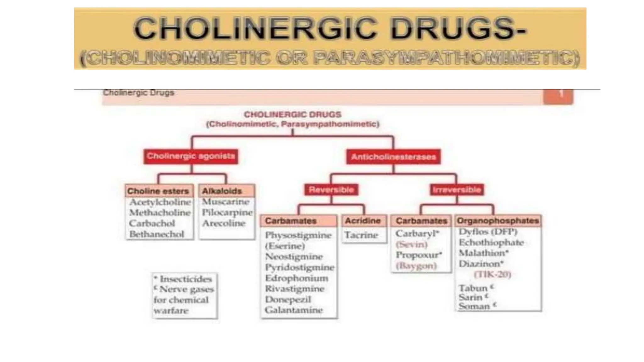 Adrenergic and cholinergic agents pptx.pptx