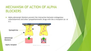 Adrenergic antagonists | PPTX