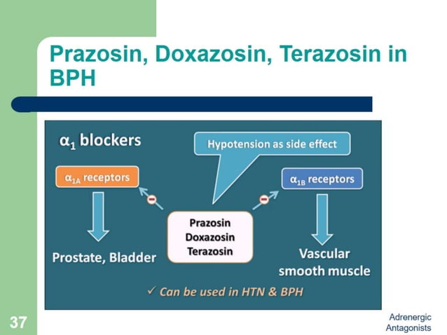 Adrenergic antagonists {Adrenergic Blockers}-Pharmacology | PPT