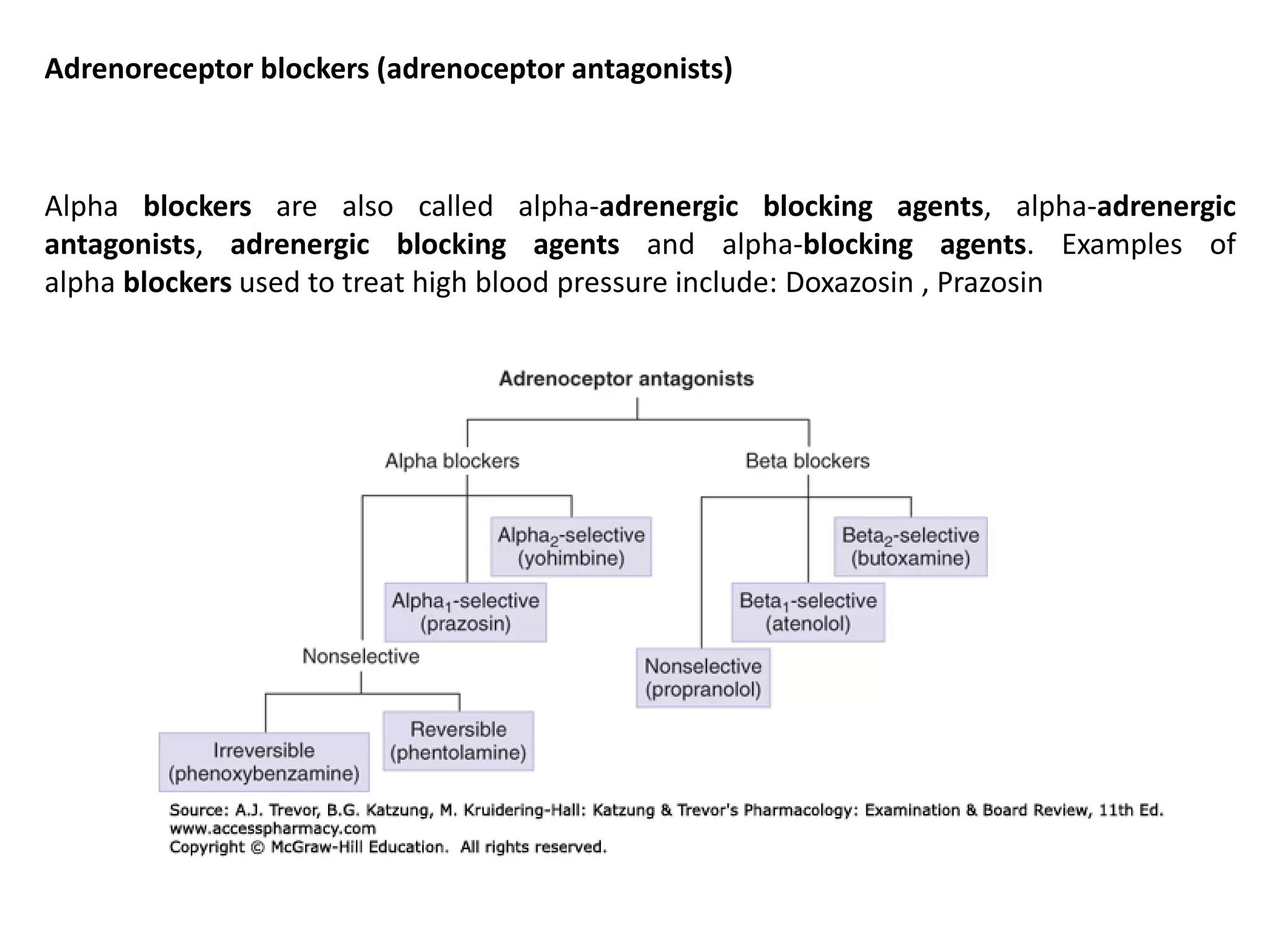Adrenergic antagonists adrenoreceptor blockers- Dr.Jibachha Sah,M.V.Sc ...