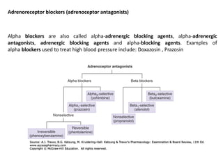 Adrenergic antagonists adrenoreceptor blockers- Dr.Jibachha Sah,M.V.Sc ...