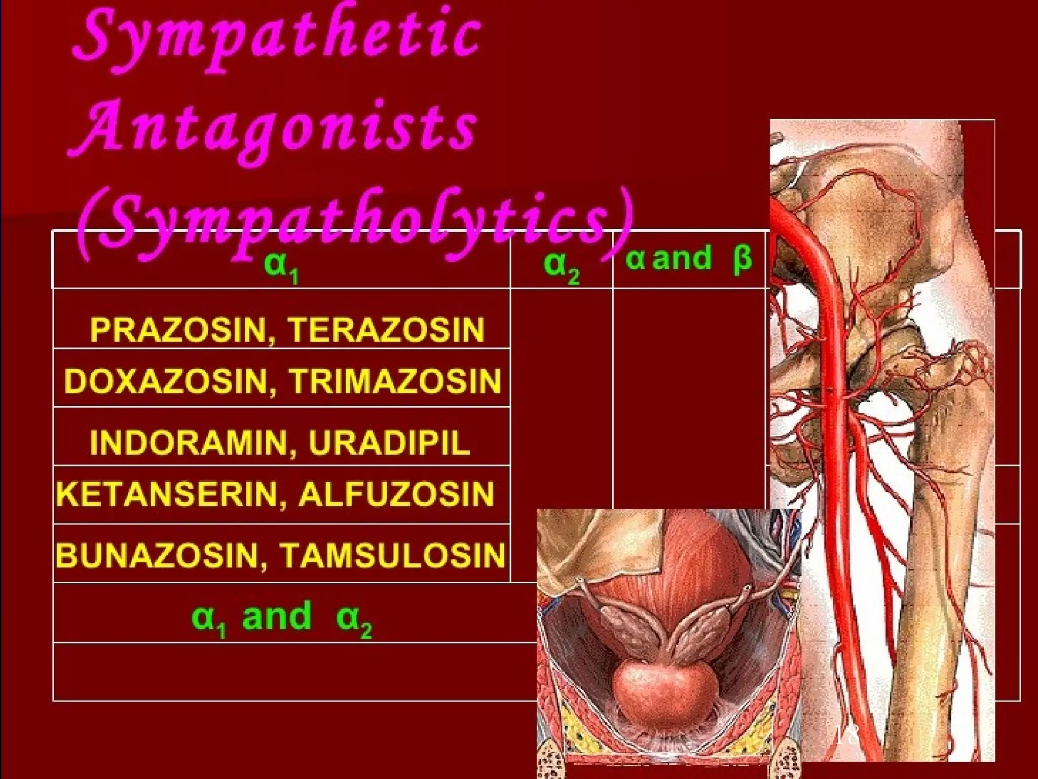 Adrenergic antagonists alpha and beta blockers | PPT