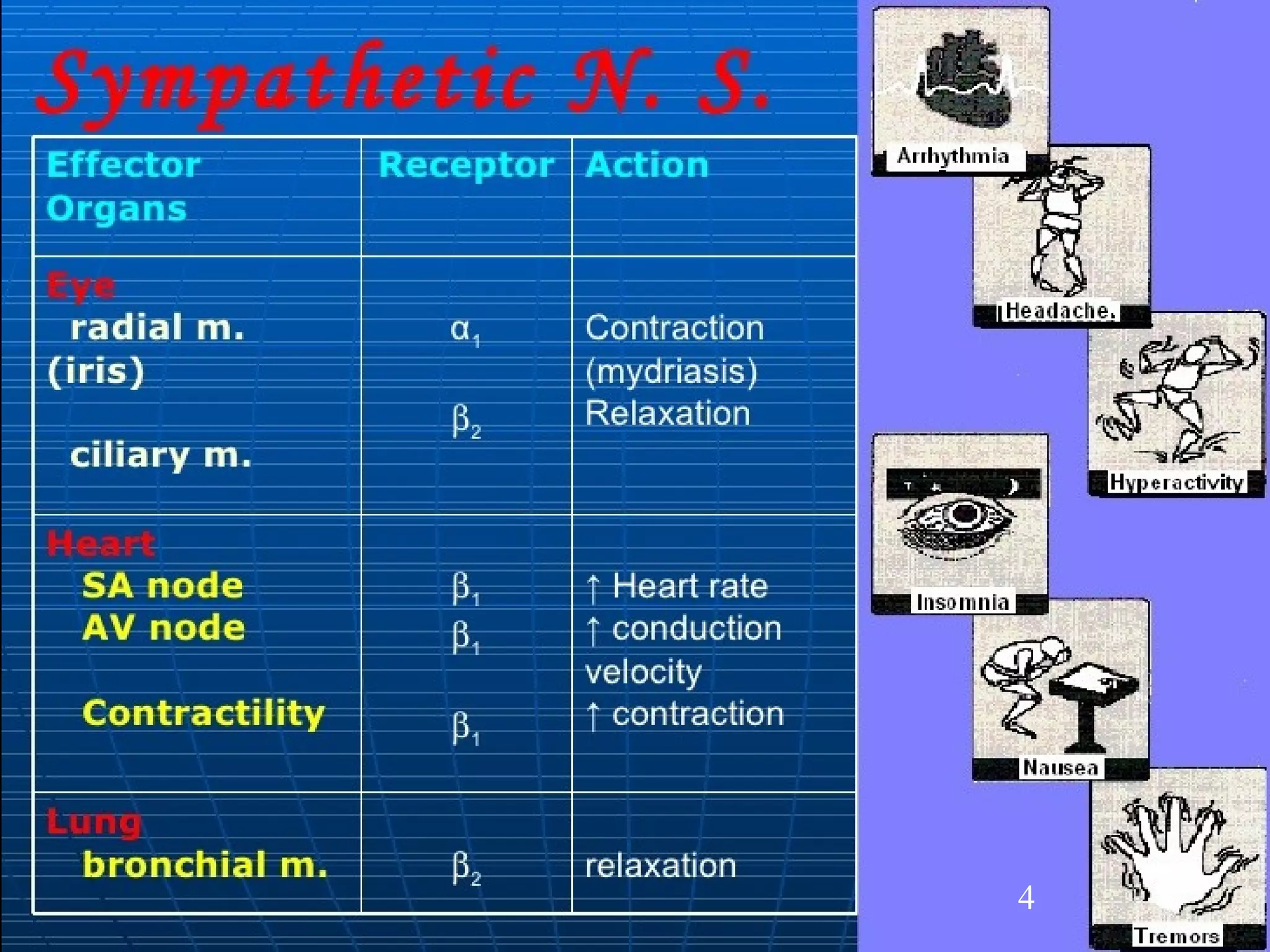 Adrenergic antagonists alpha and beta blockers | PPT