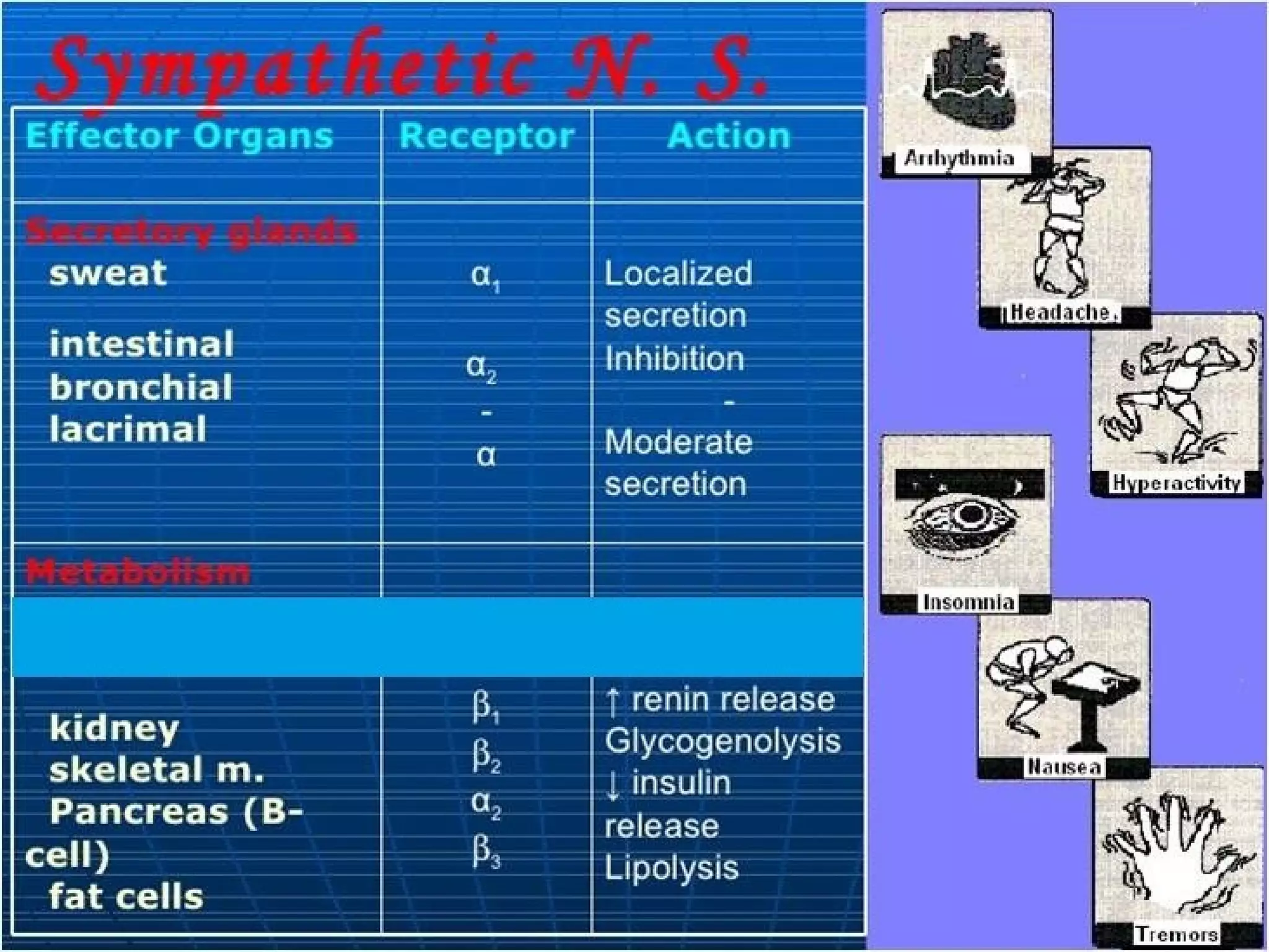 Adrenergic antagonists alpha and beta blockers | PPT
