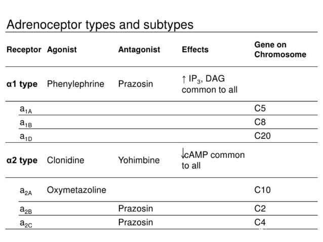 Adrenergic antagonists alpha and beta blockers | PPT