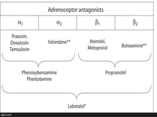 Adrenergic blocking agent | PPT