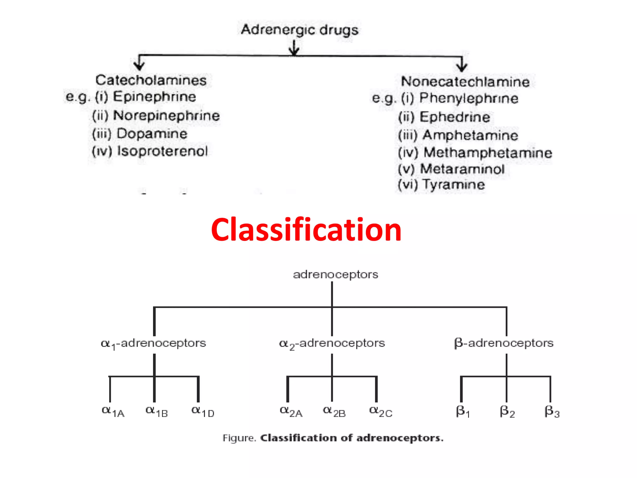 Adrenergic & cholinergic in Medicinal Chemistry | PPTX