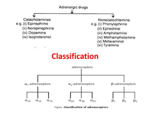Adrenergic & cholinergic in Medicinal Chemistry | PPTX