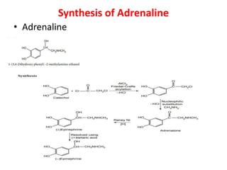 Adrenergic & cholinergic in Medicinal Chemistry | PPTX