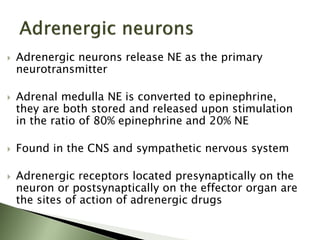Adrenergic drugs - pharmacology | PDF
