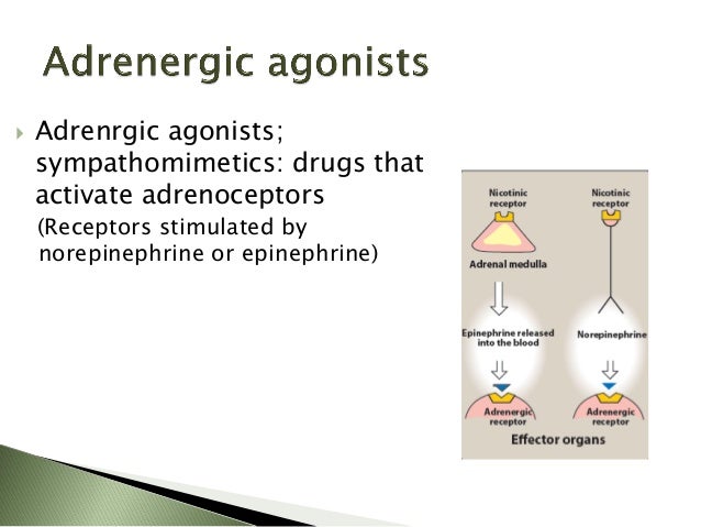 Adrenergic drugs - pharmacology
