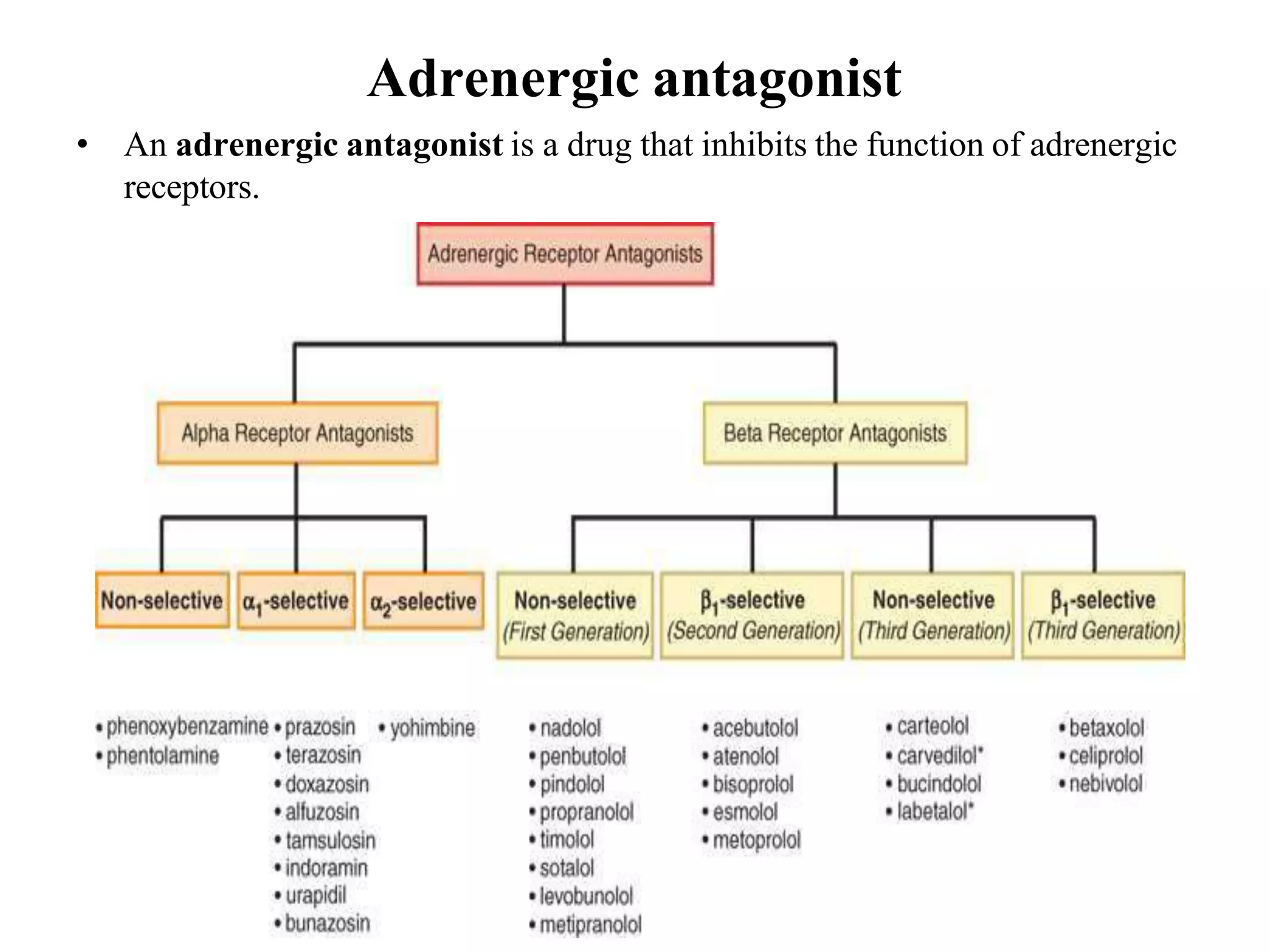 adrenergicdrugs-181220100636 (1).pptx