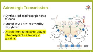 Adrenergic drugs 2020 | PPTX