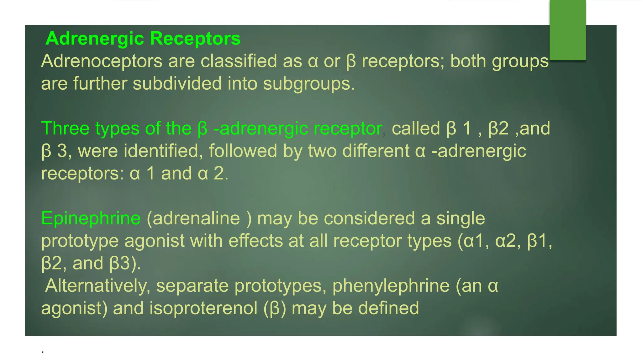 Adrenergic Drugs. Autonomic Nervous System.pptx