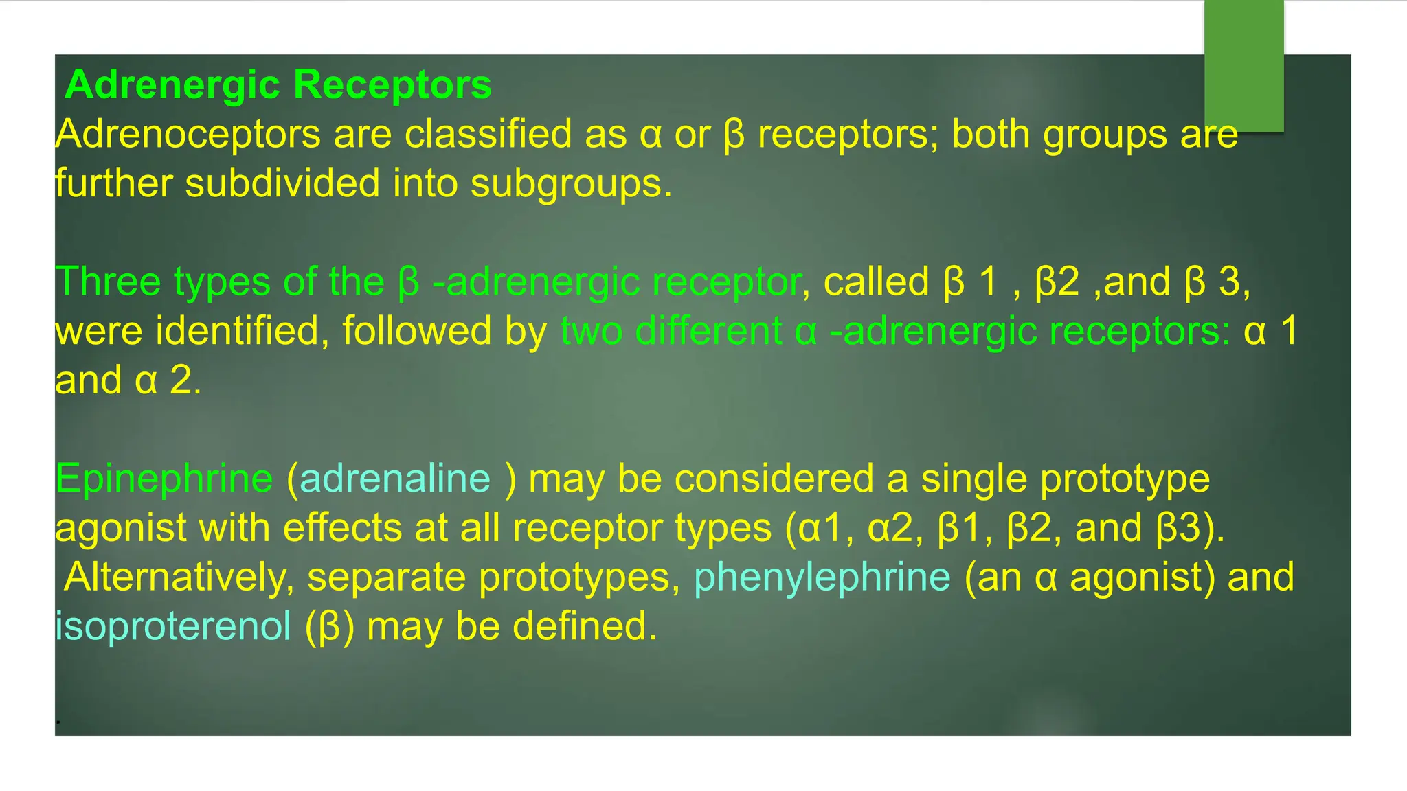Adrenergic Drugs. Autonomic Nervous System.pptx