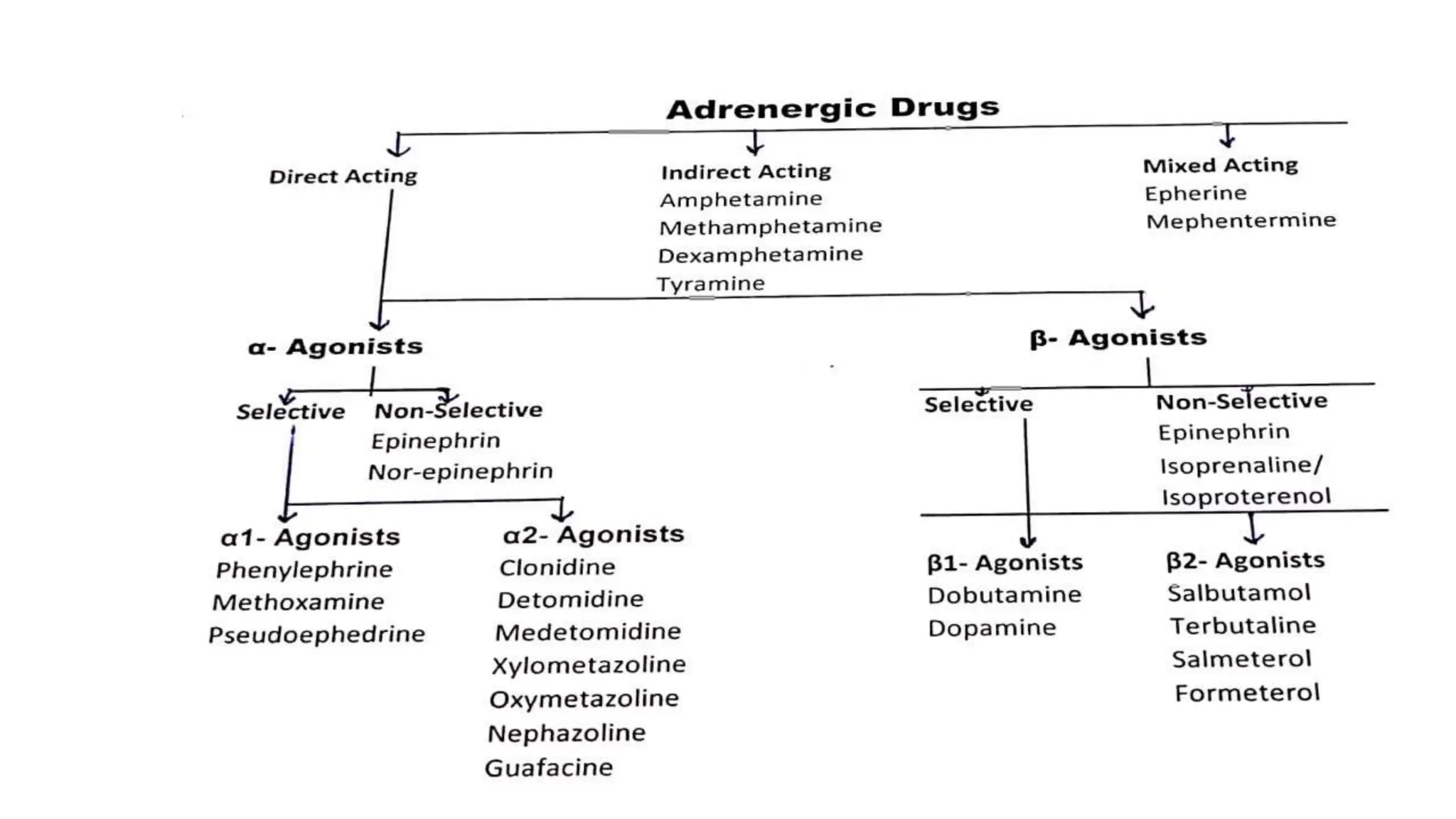 Adrenergic Drugs. Autonomic Nervous System.pptx