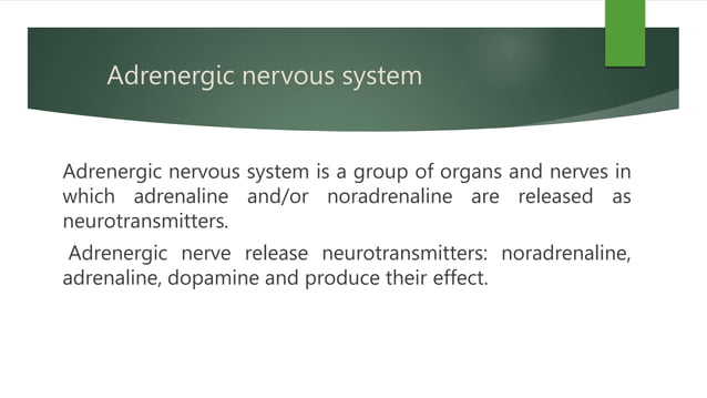 Adrenergic Drugs. Autonomic Nervous System.pptx