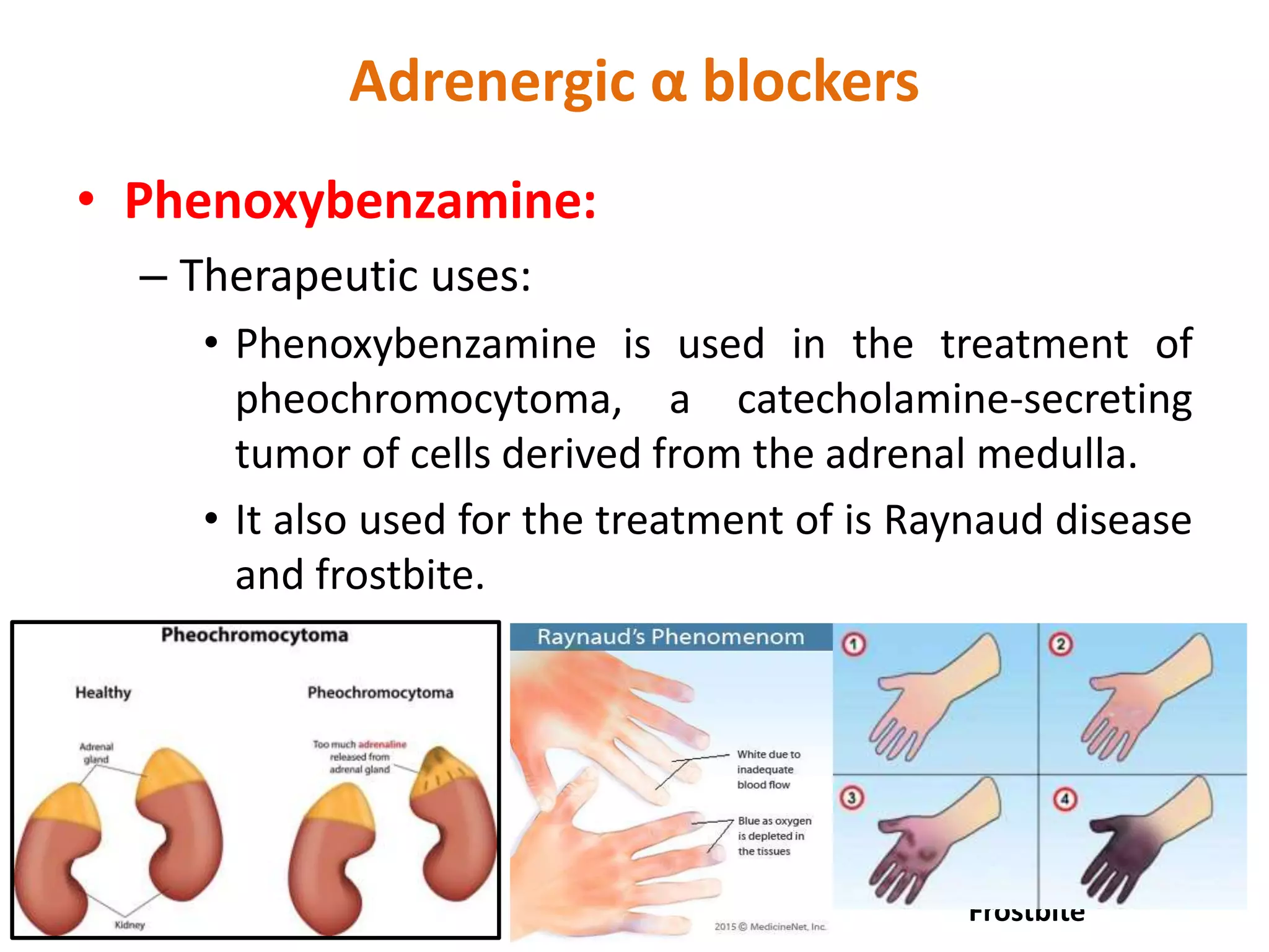 Adrenergic drugs α adrenergic blocker | PPTX