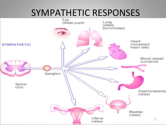 SYMPATHOMIMETIC by Mukesh Gupta