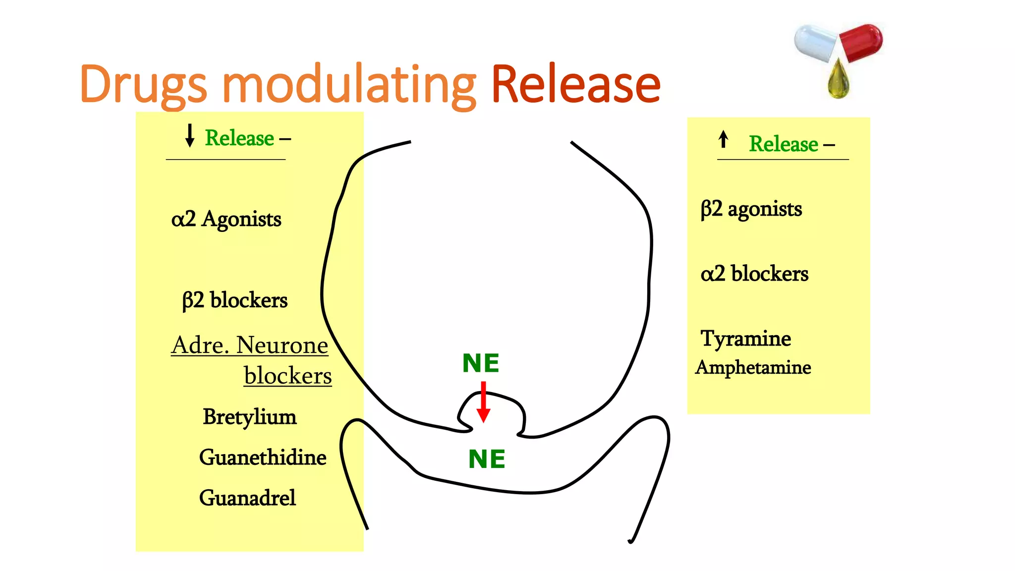 Adrenergic neurotransmission | PPTX